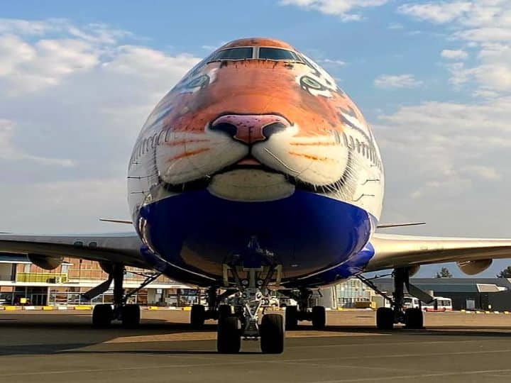 Special Cargo With Eight Cheetahs To First Land in Gwalior. Watch First ...