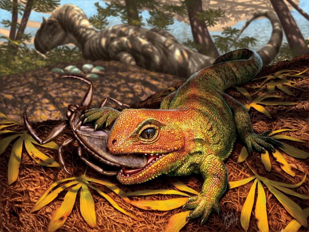 An Extinct Lizard Like Reptile That Lived Among Dinosaurs Newly ...