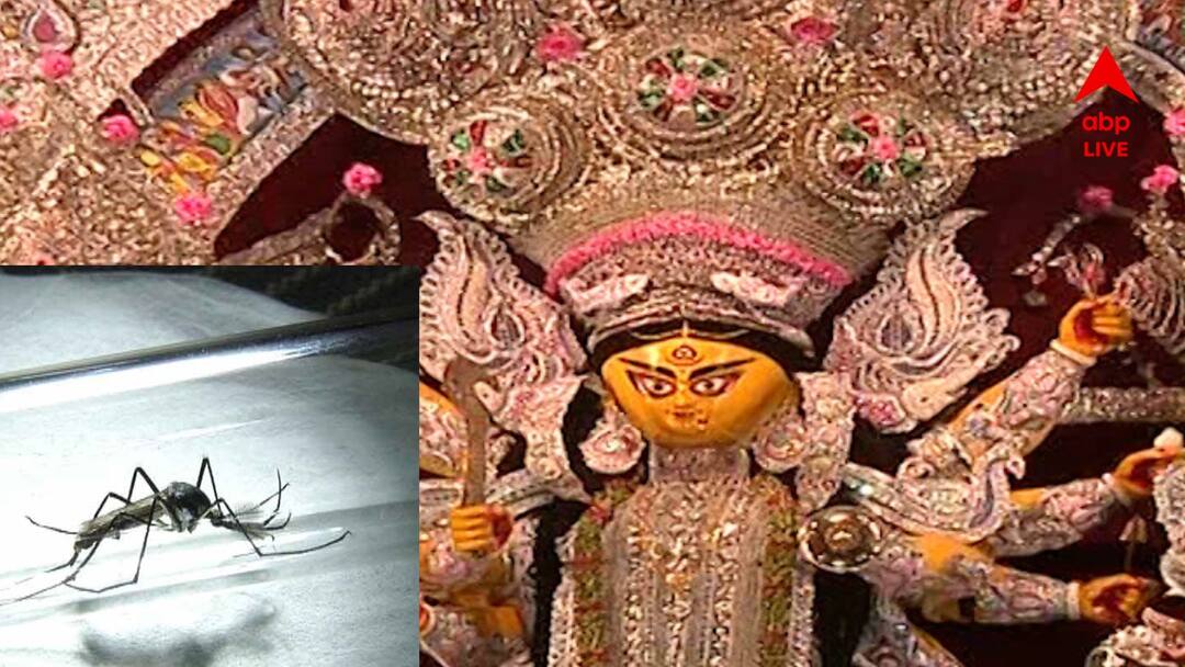 Durga Puja 2022 KMC plans to inspects Puja Pandals in sake of Dengue Scare in Kolkata | Durga ...