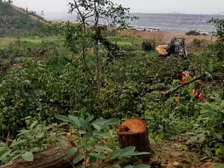 Hasdeo Aranya Forest 8 Thousands tree cut For coal mine many people ...