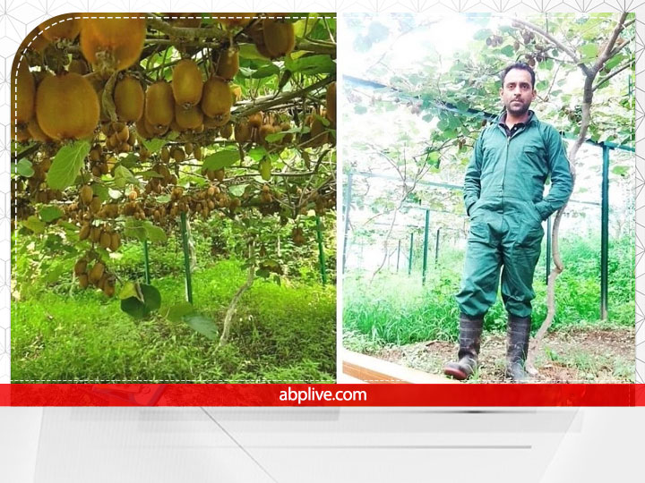 Success Story Of Mandeep Verma Of Swastik Farms Grow Himalayan Kiwi And Apple By Organic Farming