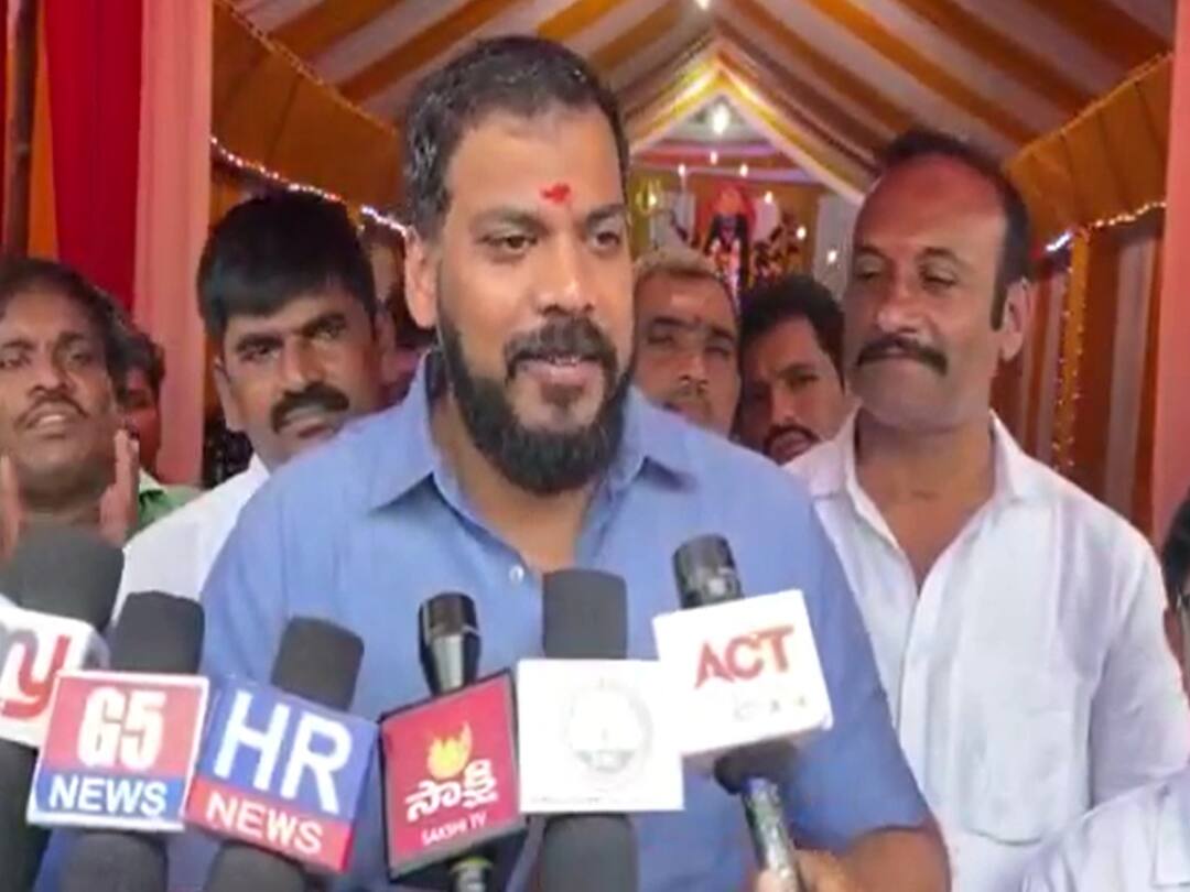 Nellore Ysrcp MLA Anil Kumar Yadav suggested Nandamuri Family capture TDP from Chandrababu DNN ...