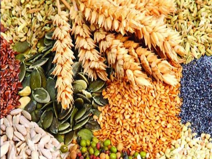 Difference Between Hybrid Seeds and Indigenous Seeds or Desi beej ...