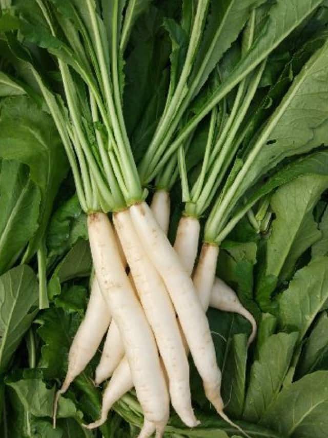 radish leaf and its benefits all you need to know