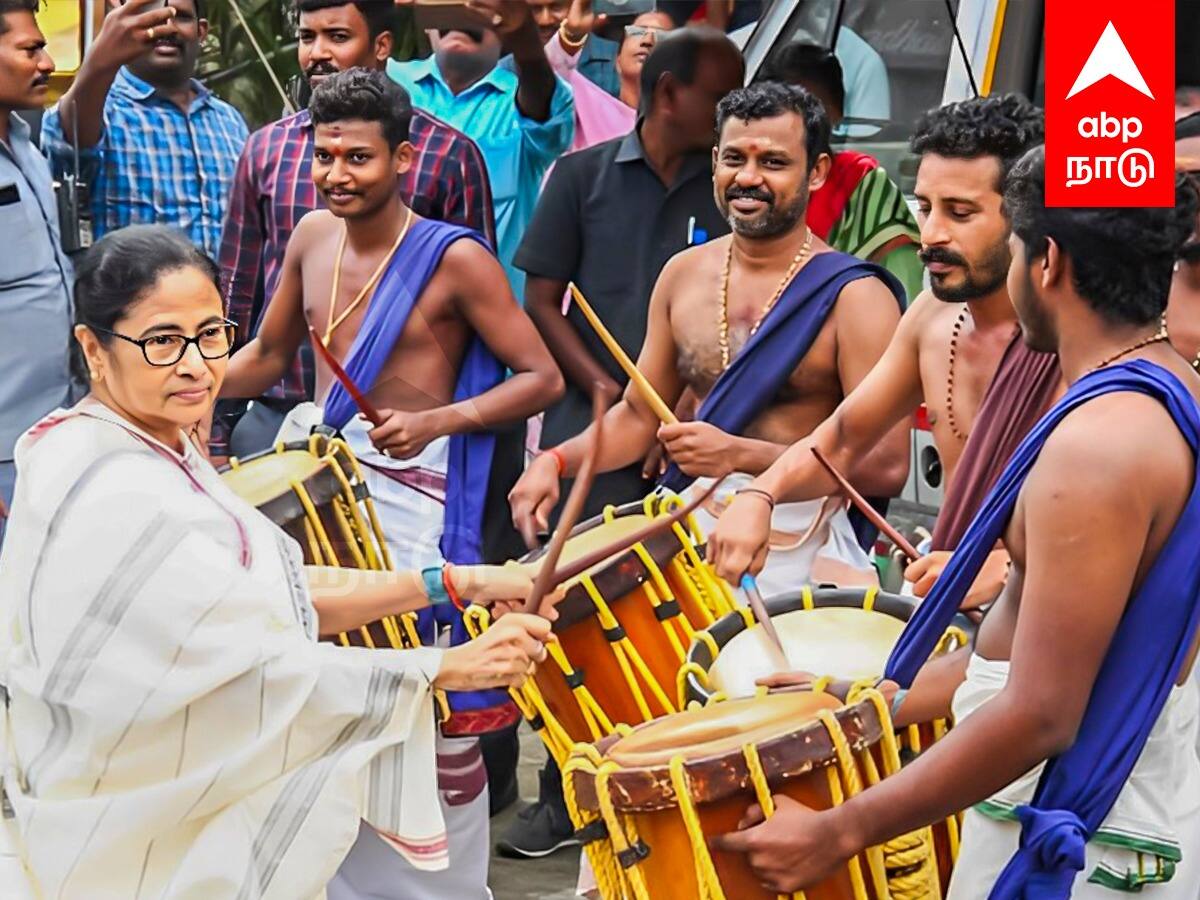 Chennai: Latest News, Photos and Videos on Chennai - ABP Nadu | Page 222