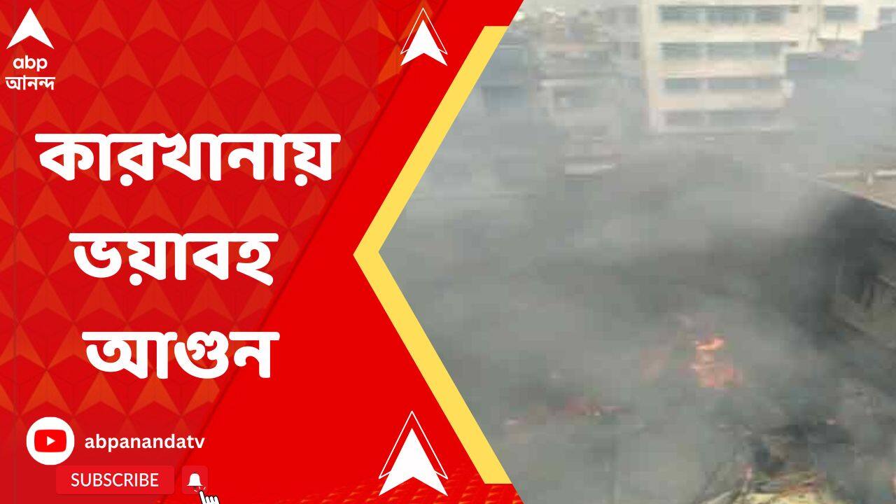 Maniktala: Latest News, Photos and Videos on Maniktala - ABP Ananda