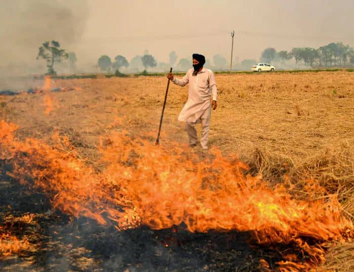 Punjab Stubble Burning 43,144 Incidents Recorded Of Stubble Burning In ... Punjab Stubble Burning 43,144 Incidents Recorded Of Stubble Burning In ...