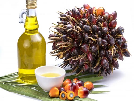 TOP 10 Oilseeds Crop Know As Cash Crops Inprove Farmers Income By ...