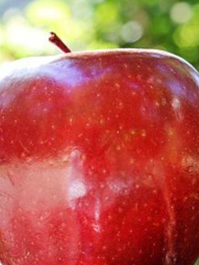 குளிர்காலத்தில் சாப்பிட வேண்டிய பழ வகைகள்!