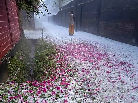 Severe Hailstorm Hits Assam's Dibrugarh Several Houses Damaged. See Pics