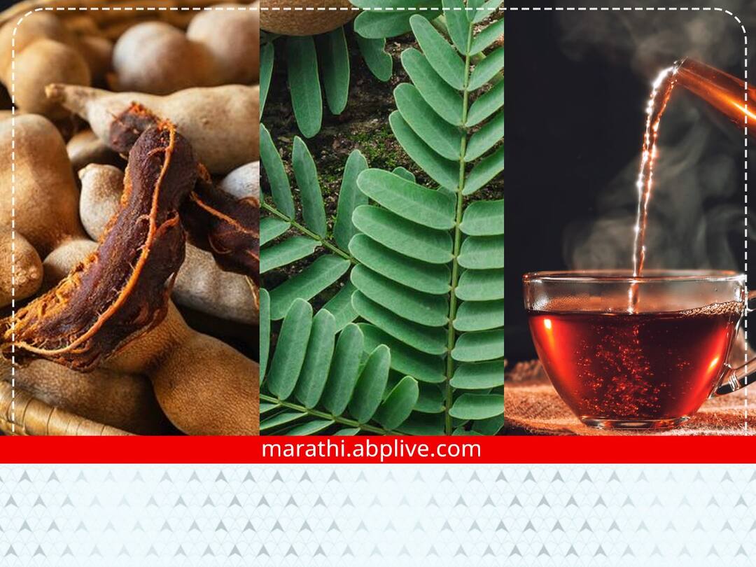Benefits of Tamarind Leaves Tea Imli Leaves tea is helpful in reducing ...