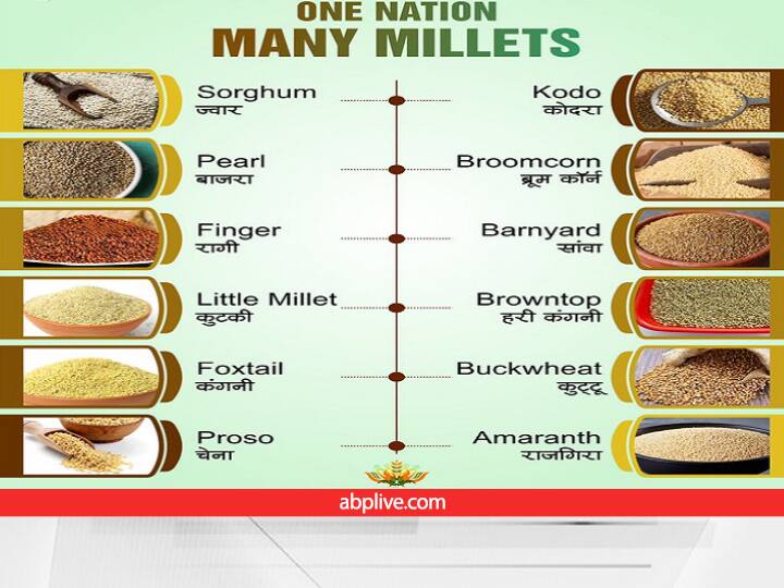 International Year of Millets 2023 Specialties of Millets or nutritious ...