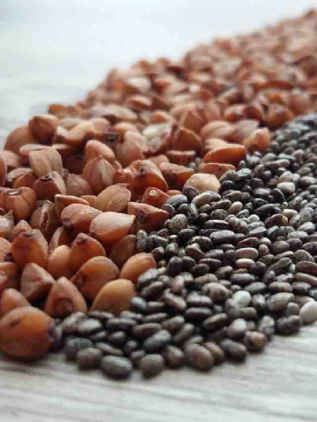 உங்கள் டயட்டில் இந்த விதைகளை எல்லாம் சேர்த்து பாருங்கள்..