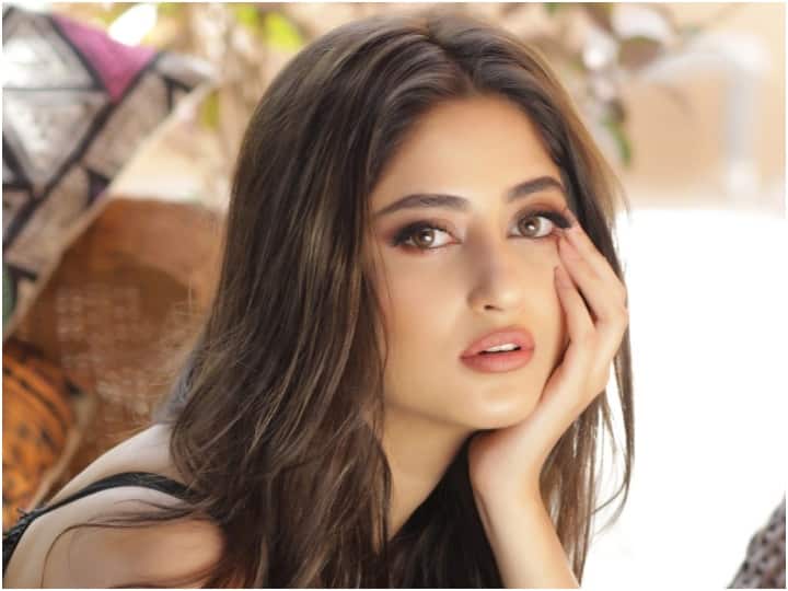 Pakistan Former Army Officer Adil Raza claims objectionable video by ...