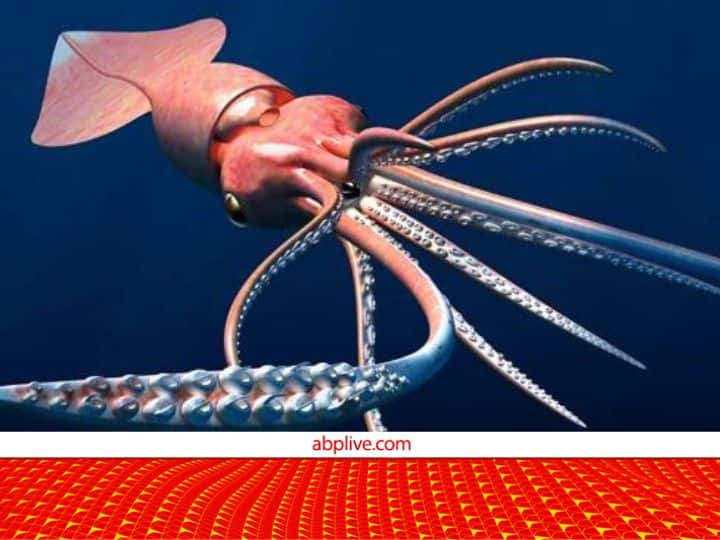 Colossal squid has the largest and eyes in the world creature with ...