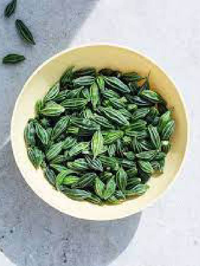 பாவக்காய் குடும்பத்தை சேர்ந்த அதலக்காயில் இவ்வளவு நன்மைகள் உள்ளதா?
