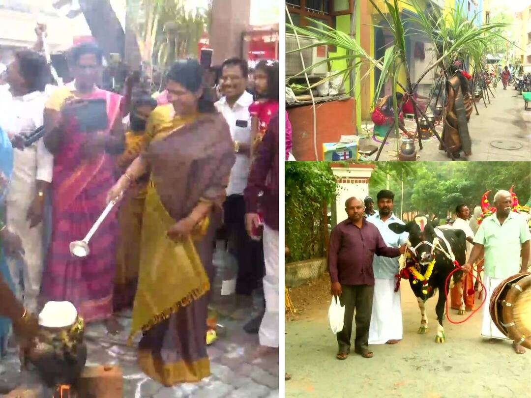 Pongal 2023: DMK MP Kanimozhi Celebrates Pongal Along With People Of ...