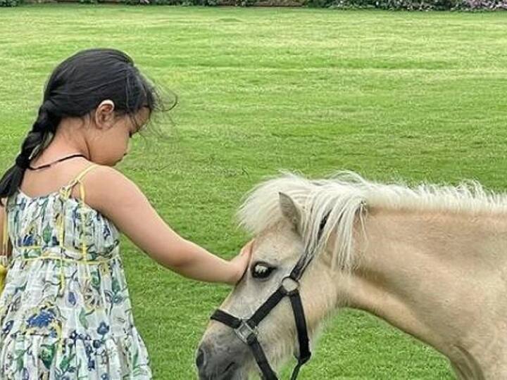 MS Dhoni Farm House in Ranchi Inside and Outside view Photos | Photos ...