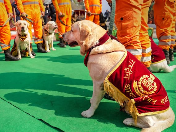 A Peek Into The 18th Raising Day Of NDRF. See Pics