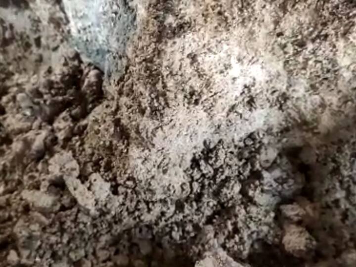 The pillars of the Garuda Mandap in the Ambabai temple canker worm ...