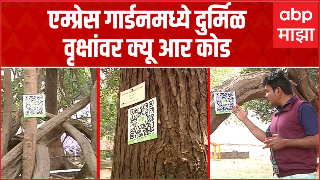 Pune Tree QR Code Information about trees will be available in one ...