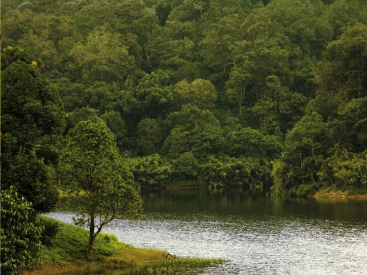A Peek Into The Wilderness Of Kerala's Thekkady Lake