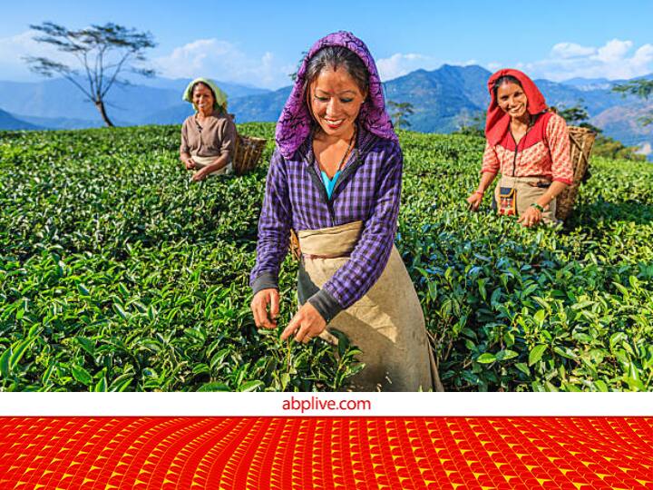Money transfer to female farmer 54000 DBT crore to the accounts of 3 ...