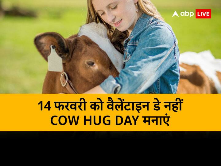 Animal Welfare Board appeals to celebrate February 14 as Cow Hug Day instead of Valentines Day ...