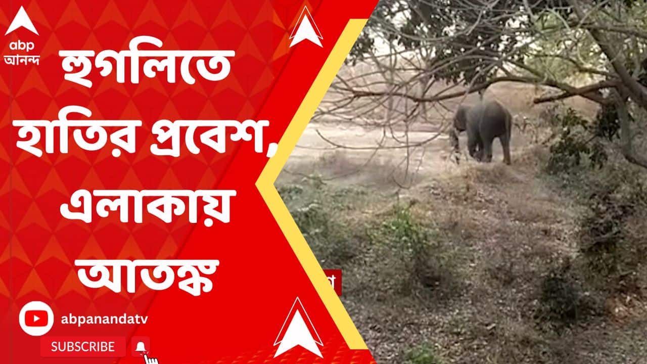 Arambag : Latest News, Photos and Videos on Arambag - ABP Ananda