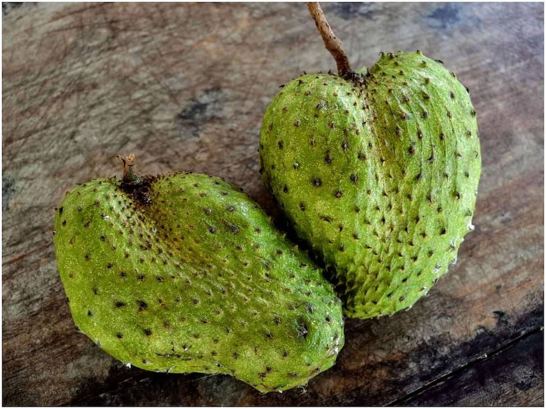 Seethaphalam and Ramaphalam are known - and do you know Hanuman Phalam ...