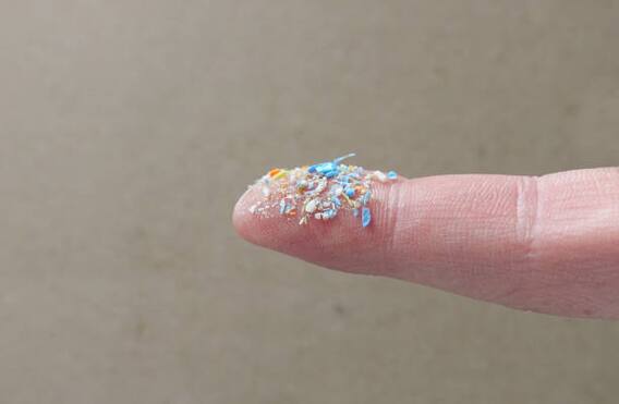 Microplastics Are In Our Bodies Microplastic Harms Human Body How It ...