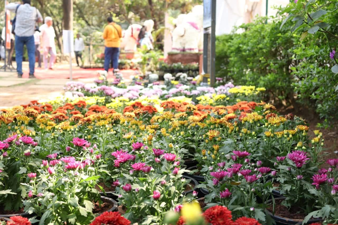 रंगीबेरंगी फुलझाडे आणि वनस्पतींचं प्रदर्शन, MMRDA चा उपक्रम