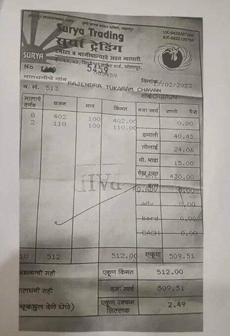 maharashtra Solapur farmer Rajendra Chavan gets profit of rs 2 49 on ...
