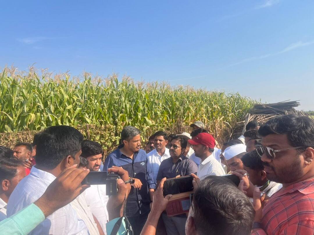 NCP Mla Rohit Pawar met onion producer Farmer in Nashik | onion : रोहित पवार बांधावर, 'त्या ...