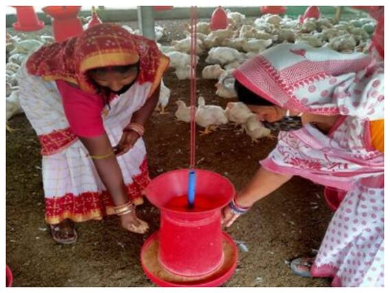 Mission Shakti: The Odisha Govt's Initiative For Women Empowerment ...