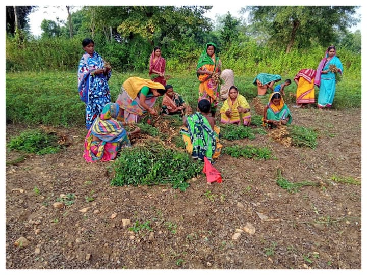 Mission Shakti: The Odisha Govt's Initiative For Women Empowerment ...