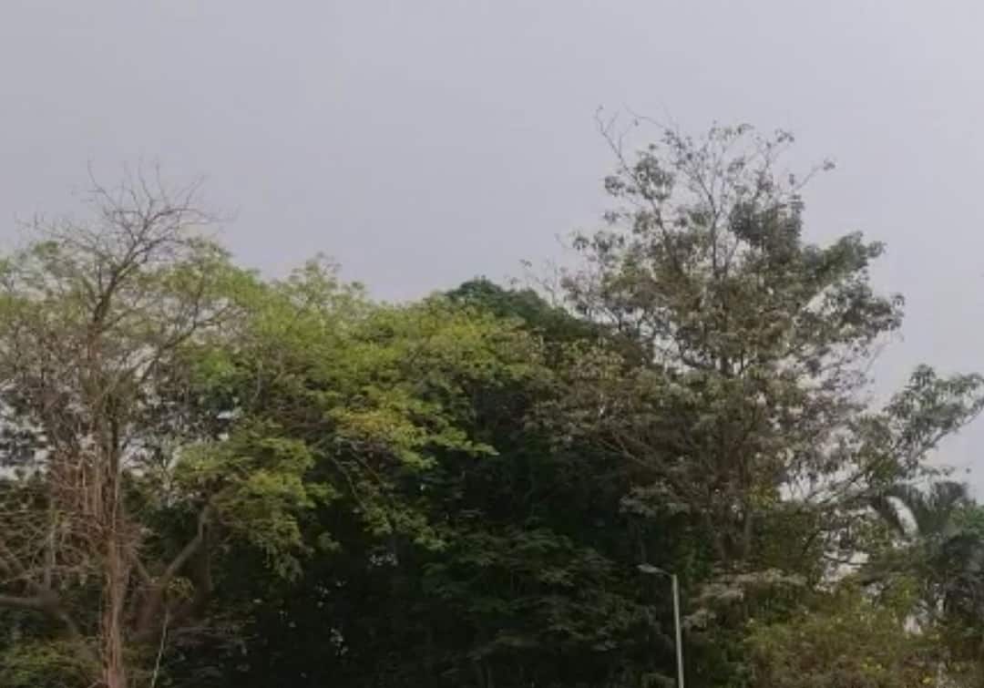 rainfall in surat valsad and navsari area | Gujarat Weather Update ...