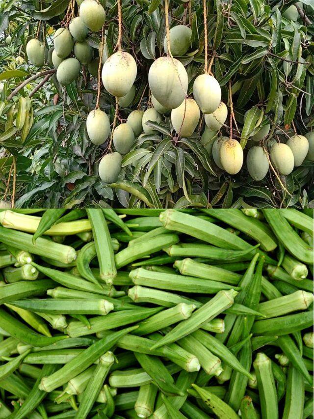 இது தெரியாமல் போச்சே..சமையலறை பக்கம் போகாமலே சத்தான உணவை சாப்பிடலாம்!