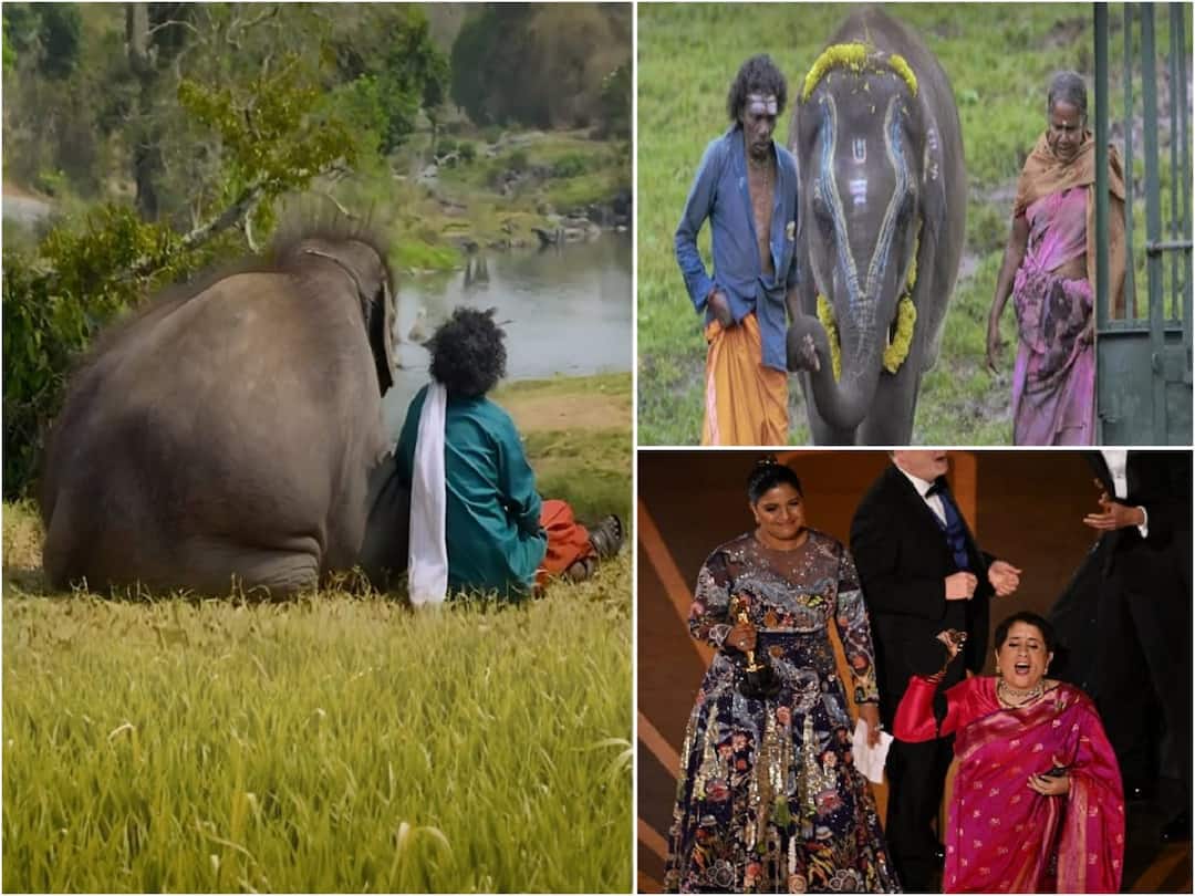 Know Where Was Oscar-Winning Indian Documentary 'The Elephant ...