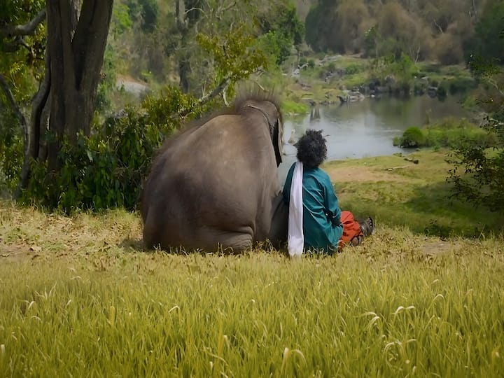 Know Where Was Oscar-Winning Indian Documentary 'The Elephant ...