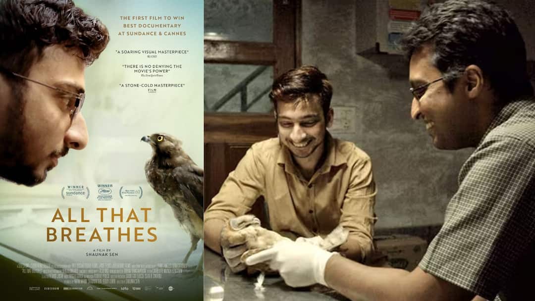 All That Breathes: Shaunak Sen’s Oscars Nominated Documentary All That ...