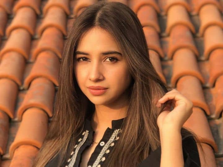 pakistani actress Sabeena Farooq spoke about india for her show tere bin read here | 'मेरे मुल्क ...