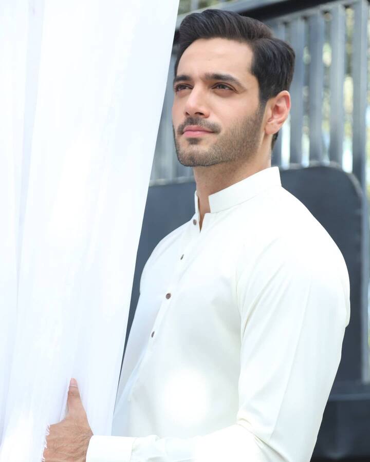 Pakistani actor Wahaj Ali winning hearts with his TV serials Tere Bin ...