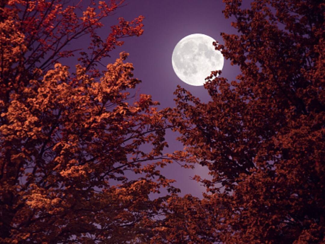 Deaths By Suicide Increase During Week Of Full Moon Late Afternoon 3 pm ...
