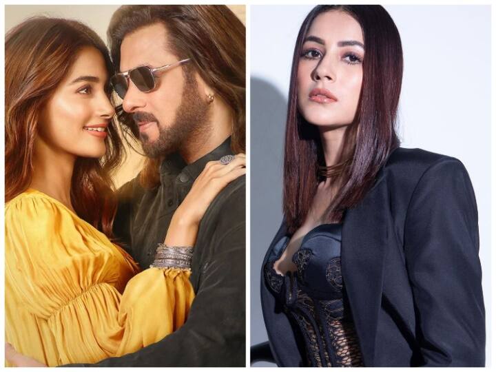 salman khan charges whopping amount for kisi ka bhai kisi ki jaan know pooja hegde shehnaaz gill ...