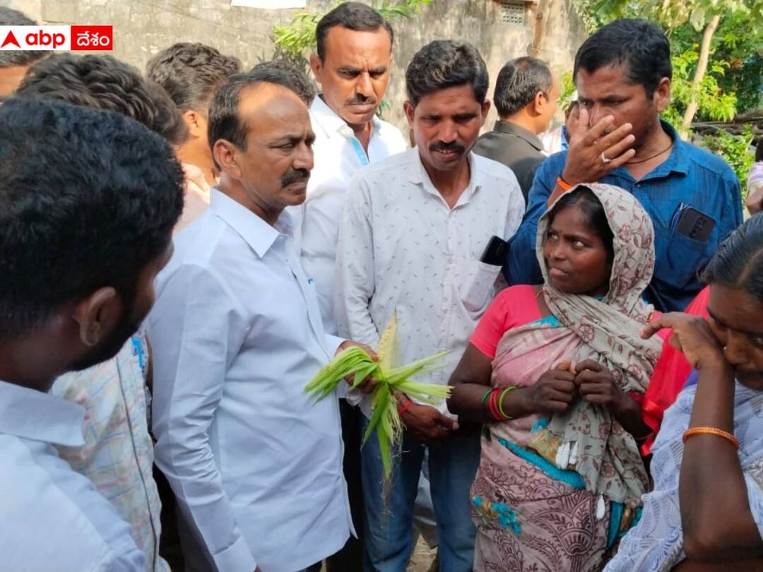 Huzurabad MLA Etala Rajender inspected the wet grain in Ambala IKP ...