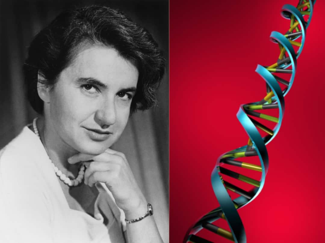 Rosalind Franklin Was An Equal Contributor, Not A Victim, In Discovery ...
