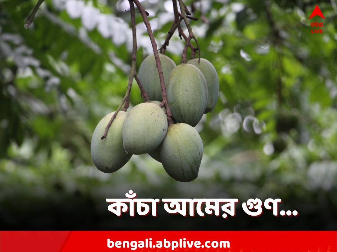 Benefits of raw mangoes and green mangoes, how to eat it | Benefits of ...