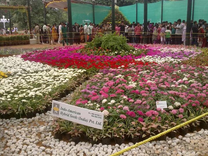 6 Interesting Flower Festivals To Visit In India