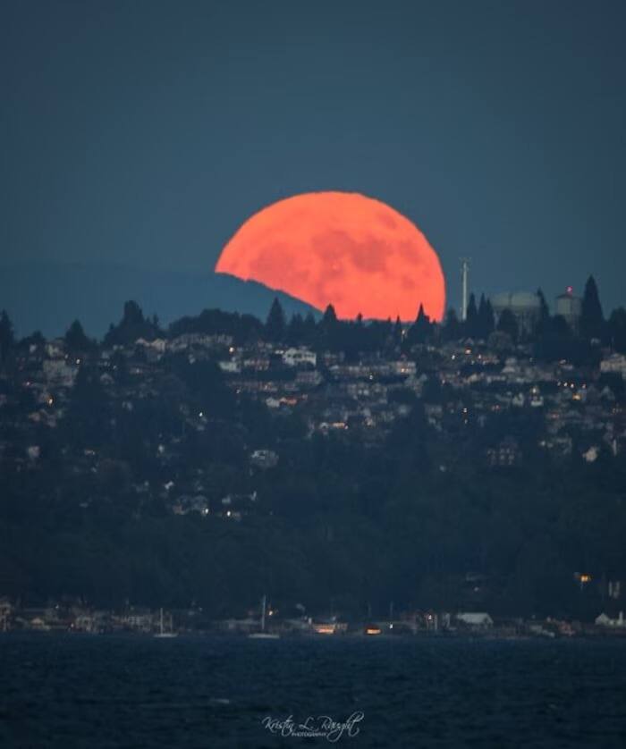 strawberry moon 2023 unseen pics what is strawberry moon supermoon ...